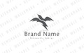 Lightning Bird Logo Template #71583