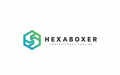 Hexagon Technology Logo Template #95213