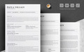 Paula Resume Template #82320