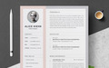 Alice Resume Template #82450