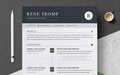 Rene Tromp Resume Template #84437