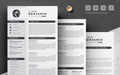 Liam Resume Template #94086