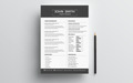 John Smith Resume Template #77935