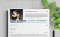 Jerry Resume Template #87573