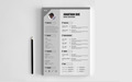 Jonathan Doe CV Resume Template #76175