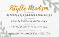 Estylle Madison Calligraphy Font #78070
