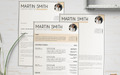 Martin Resume Template #89043