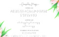 Miya Wayne - Modern Lovely Script Font #104066