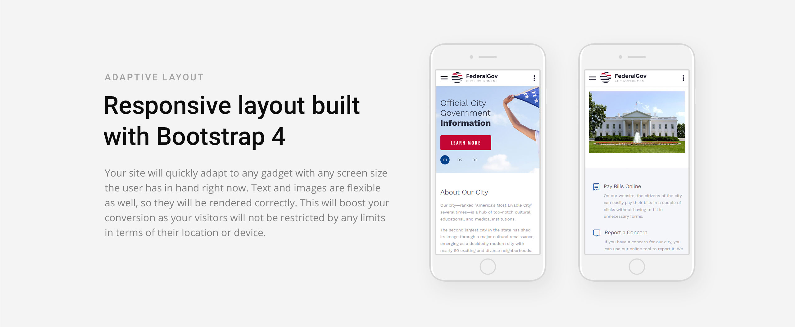 FederalGov Multipage Page HTML Template