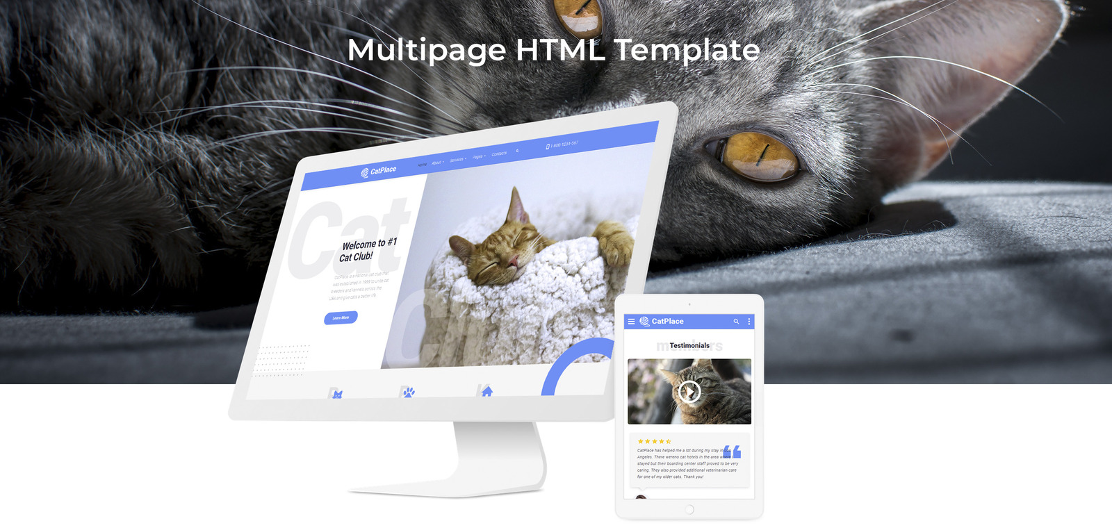 Cat Place - Animals & Pets Multipage HTML Website Template