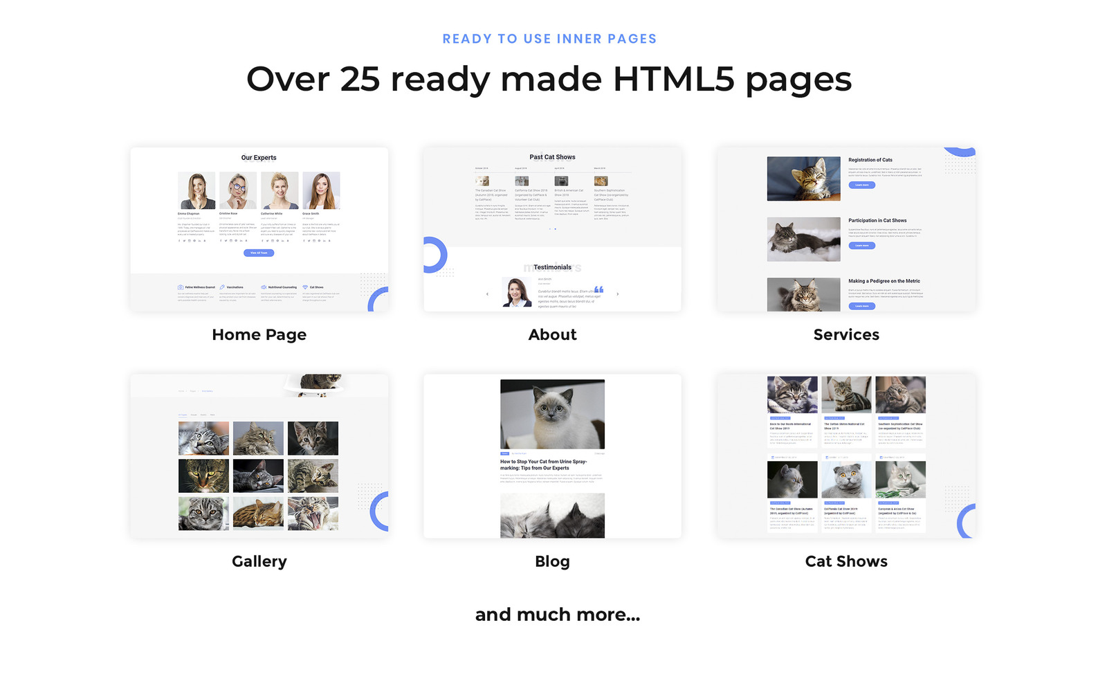 Cat Place - Animals & Pets Multipage HTML Website Template