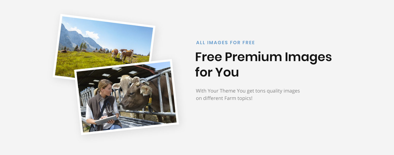 Milk Farm - Dairy Farm Website Template - TemplateMonster