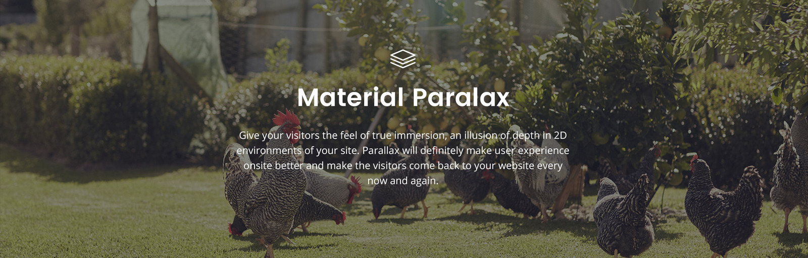 Chicken Good - Poultry Farm Multipage HTML Website Template