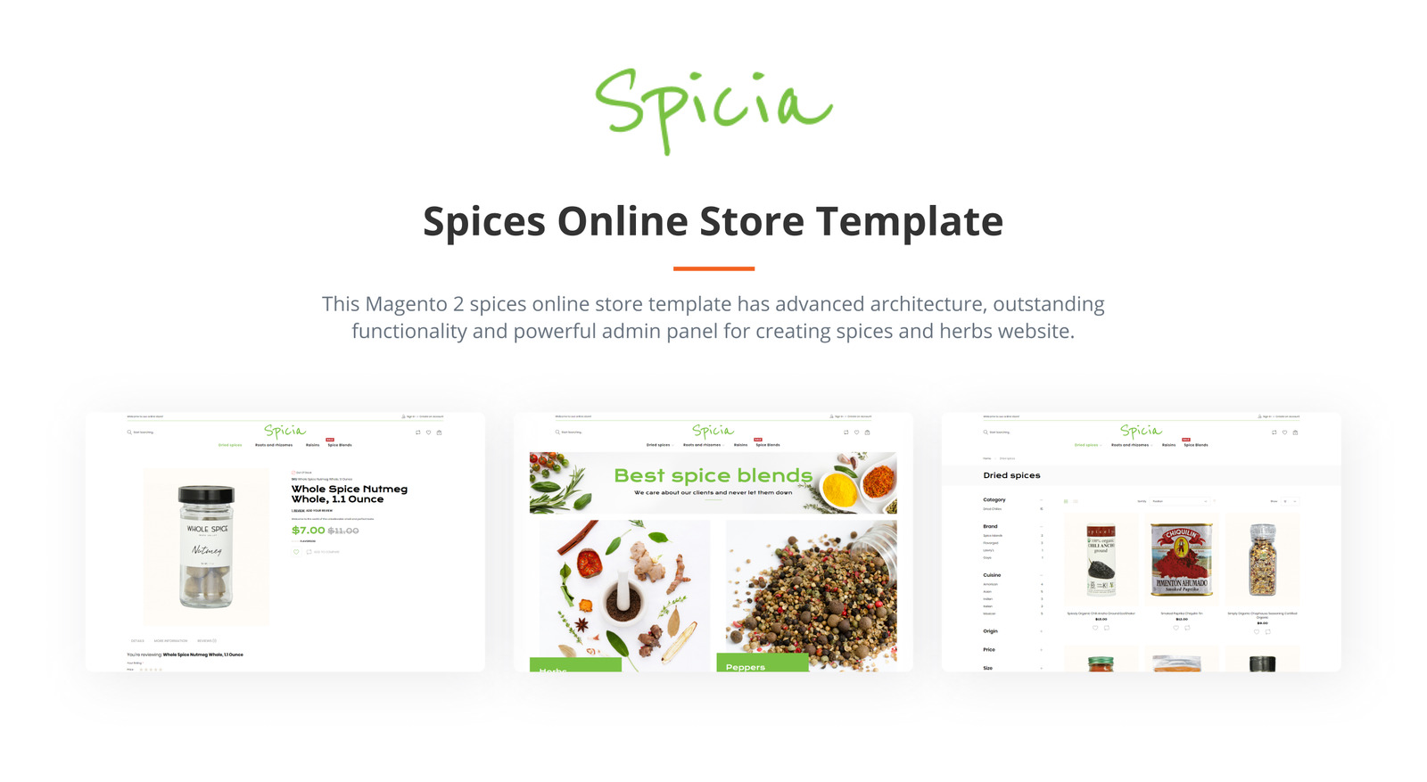 Spicia - Spices Online Store Template Magento Theme