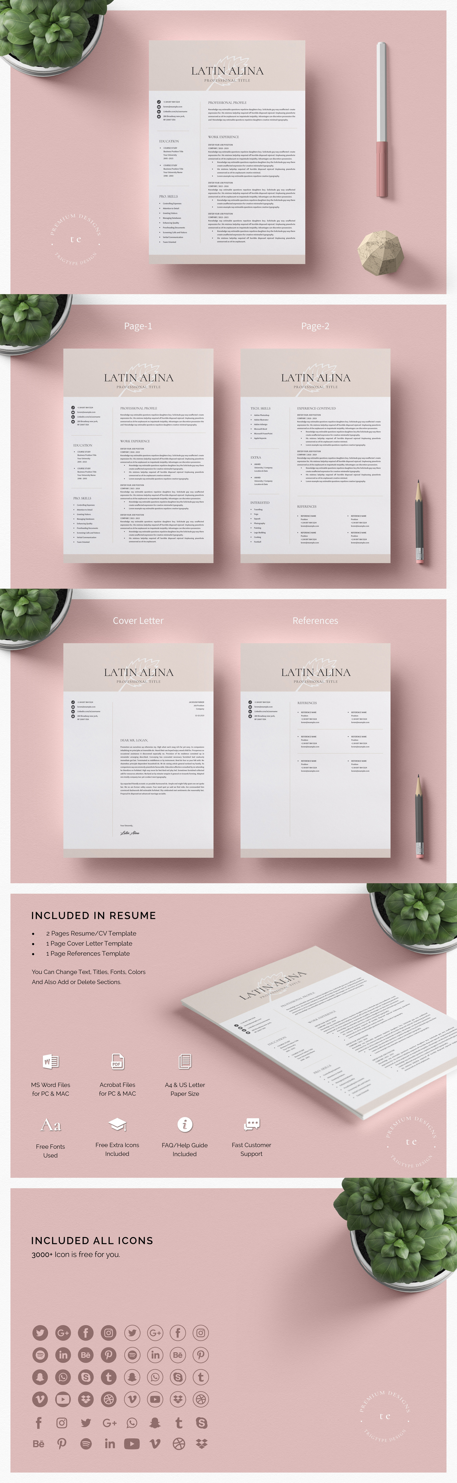 Latin Alina Professional Resume Template - TemplateMonster