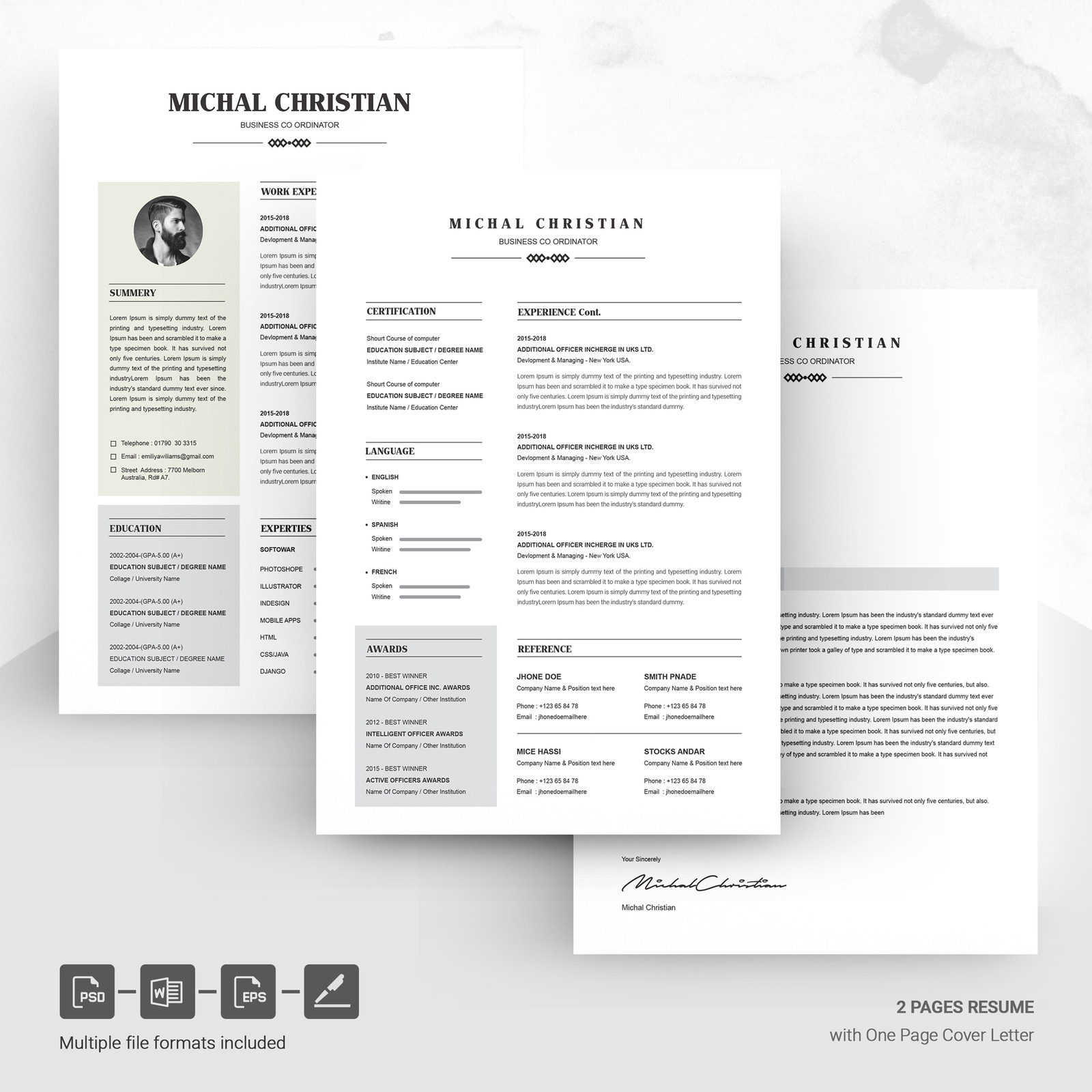 Michael Christian Resume Template #71451 - TemplateMonster