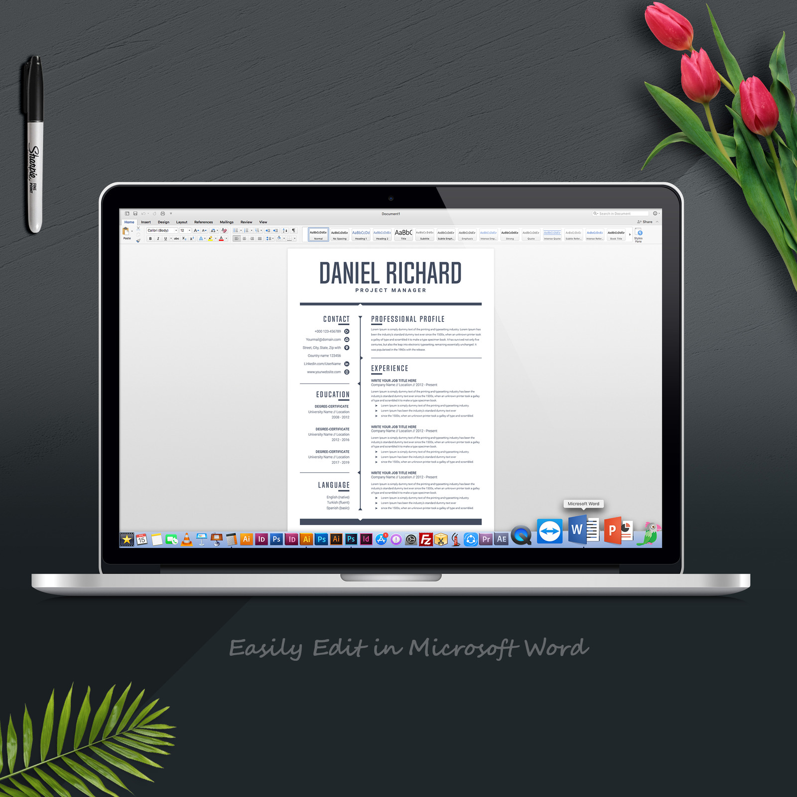 Daniel Resume Template #74466 - TemplateMonster