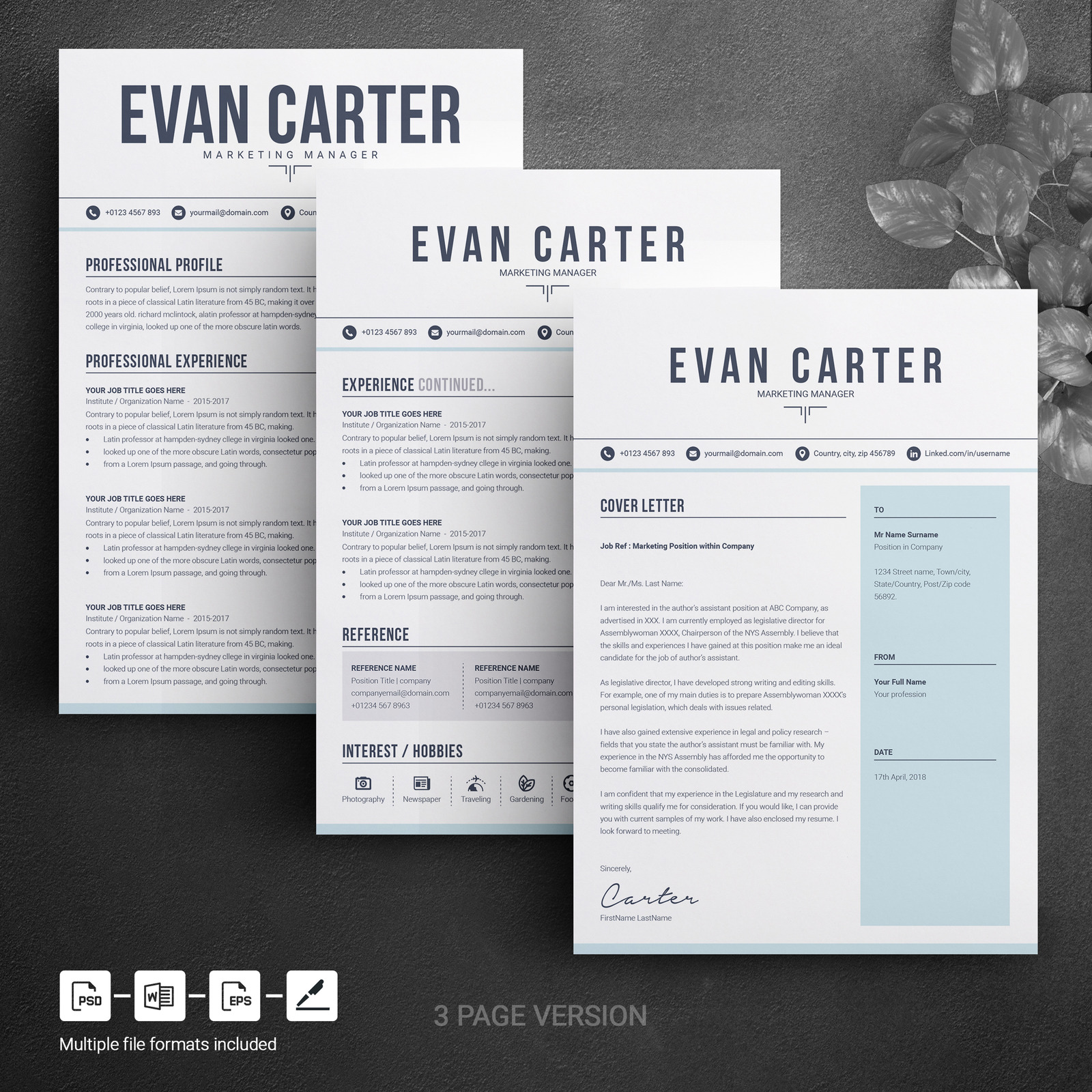 Evan Resume Template #74506 - TemplateMonster