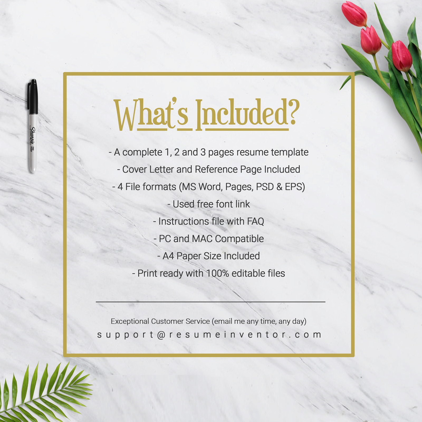 Sarah Taylor Resume Template #74556 - TemplateMonster