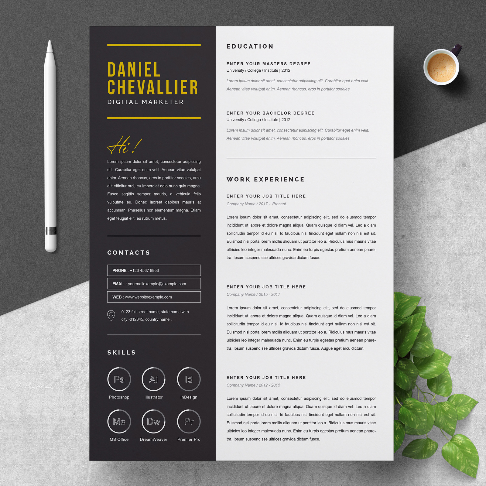 Daniel Resume Template #79264 - TemplateMonster