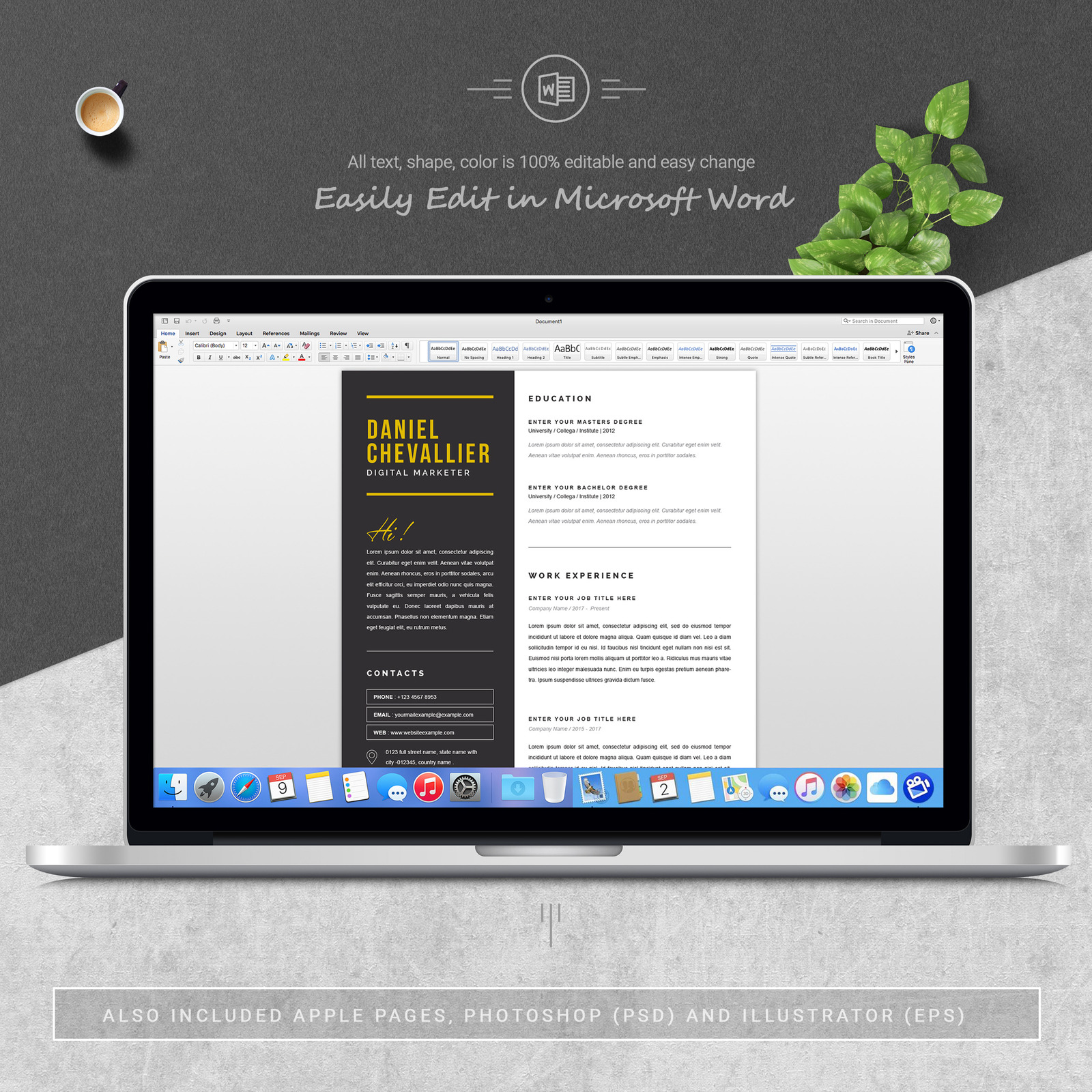 Daniel Resume Template #79264 - TemplateMonster