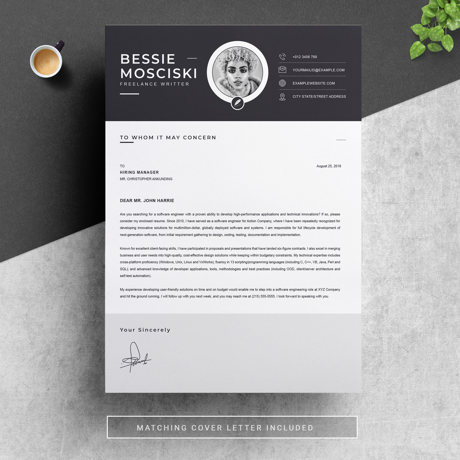 Princess Resume Template #79428 - TemplateMonster