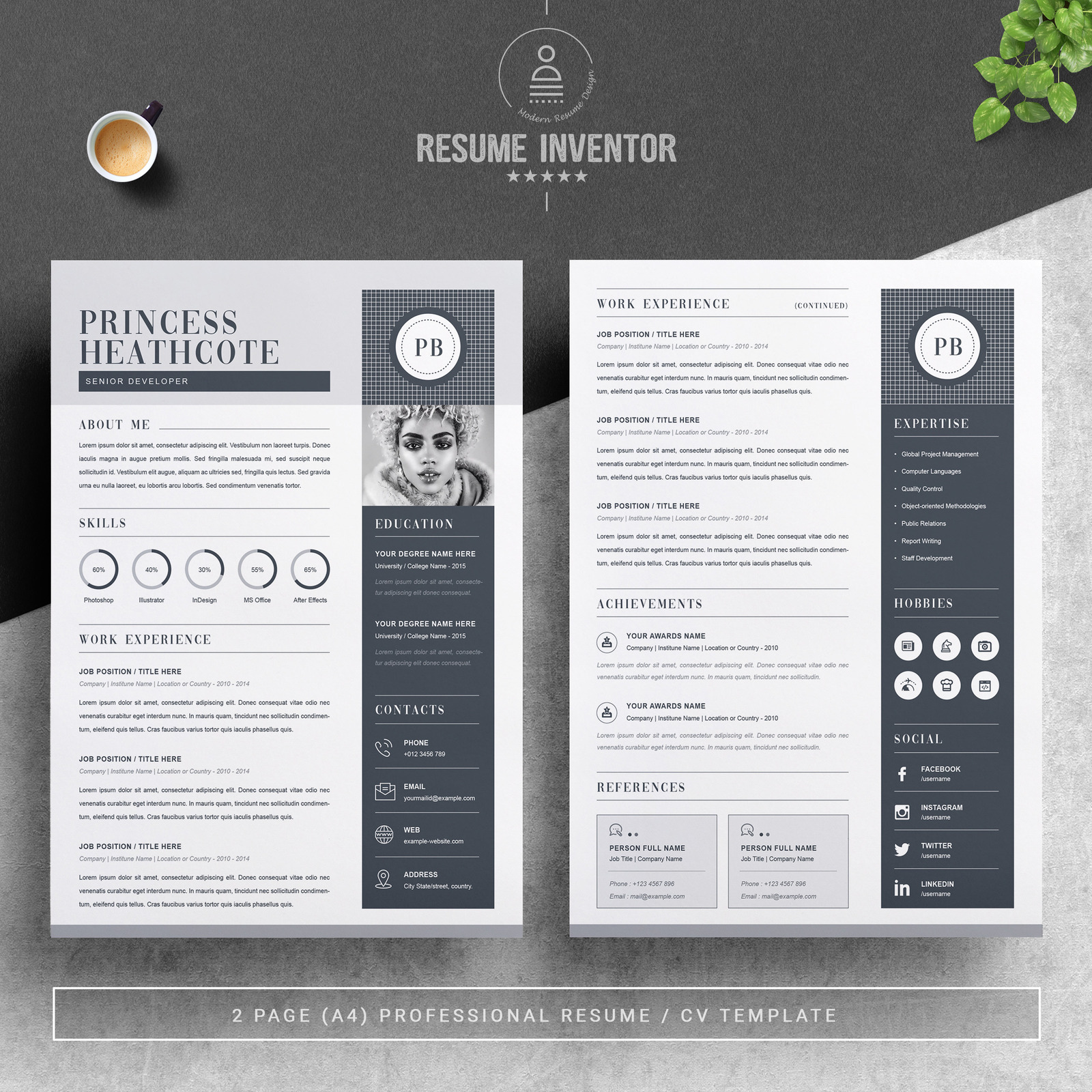 Princess Resume Template #79410 - TemplateMonster