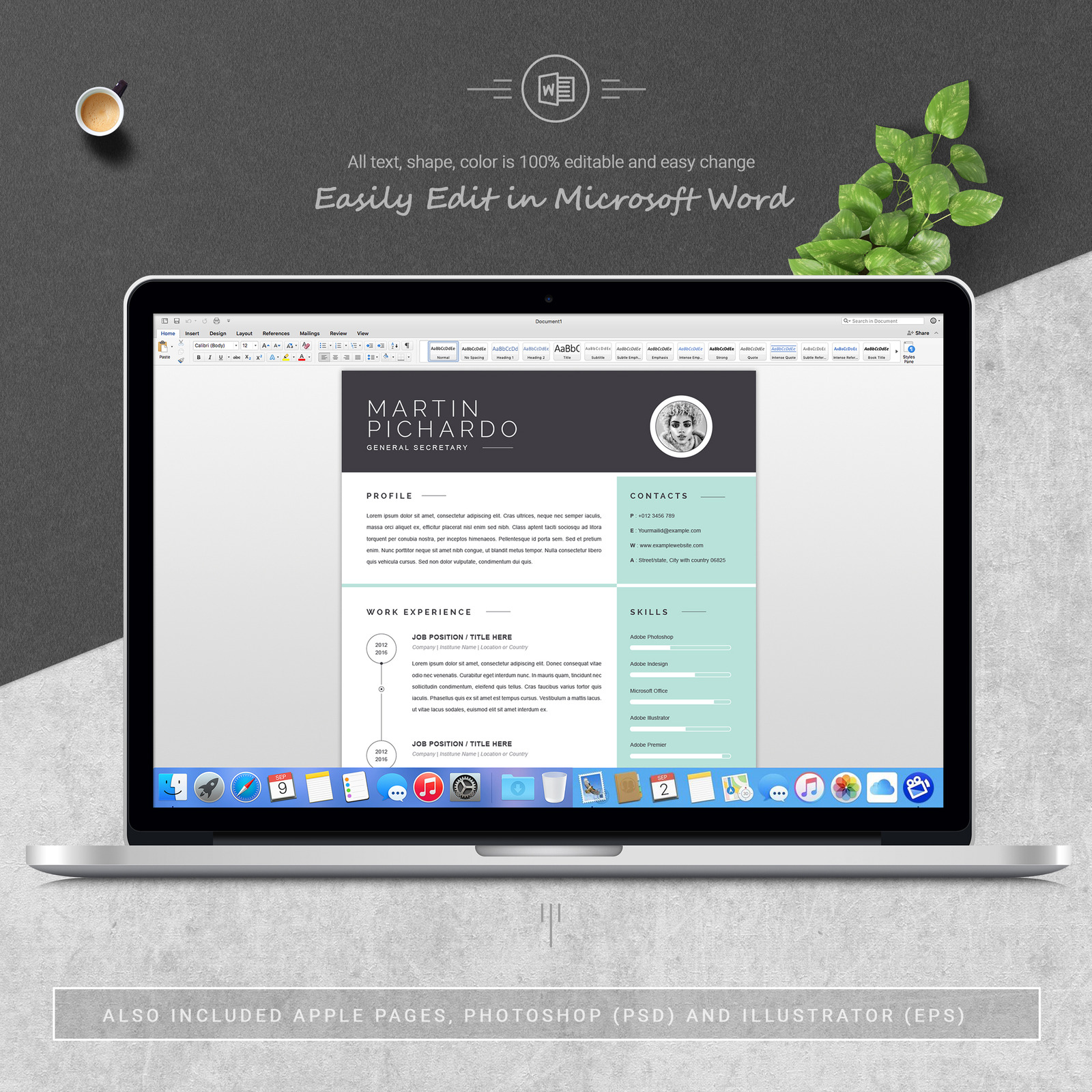 Martin Resume Template #81036 - TemplateMonster