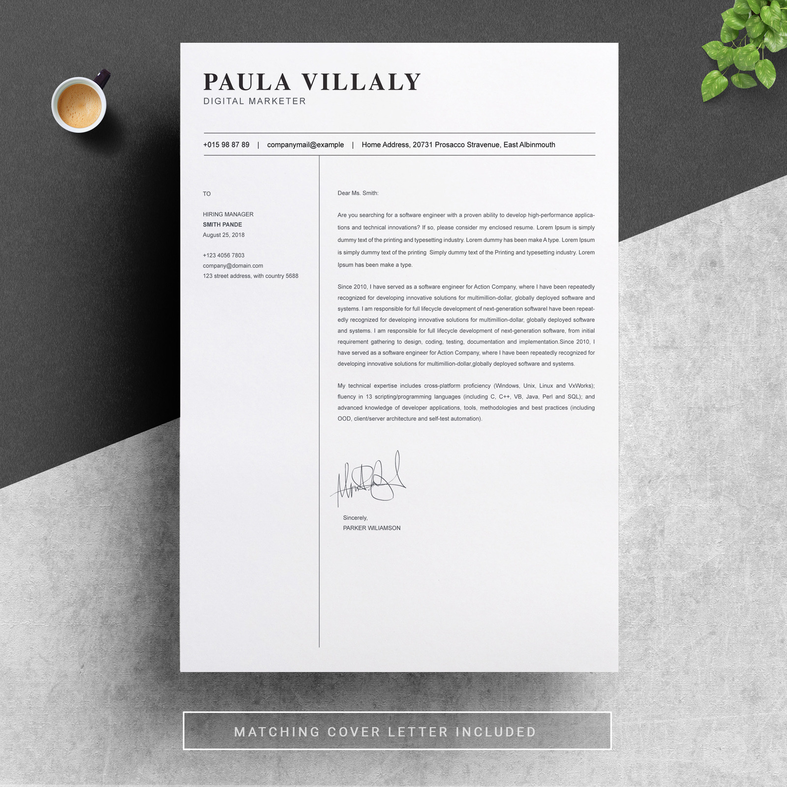 Paula Resume Template #82320 - TemplateMonster