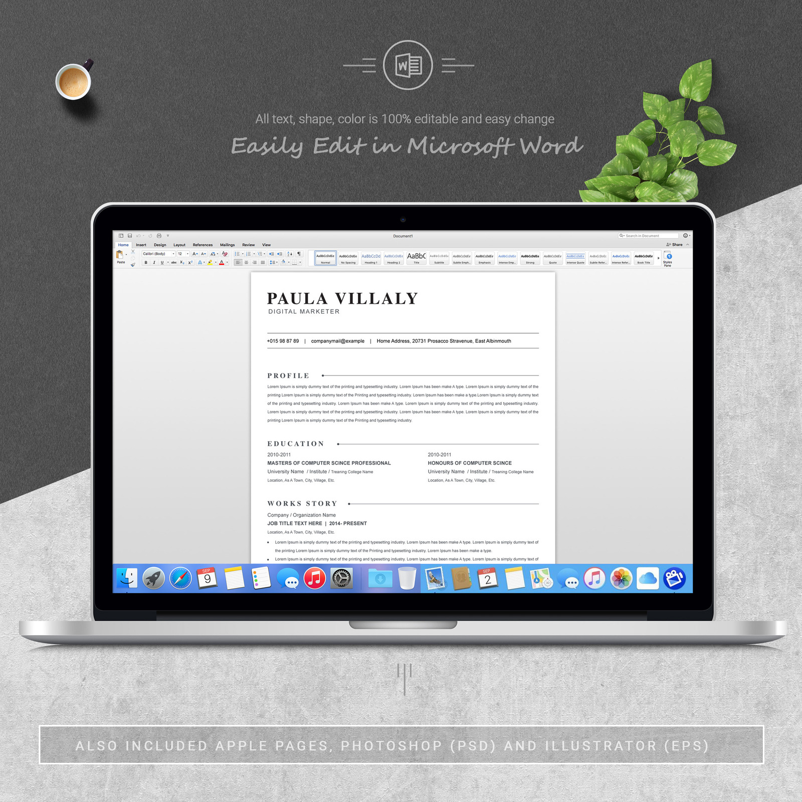 Paula Resume Template #82320 - TemplateMonster
