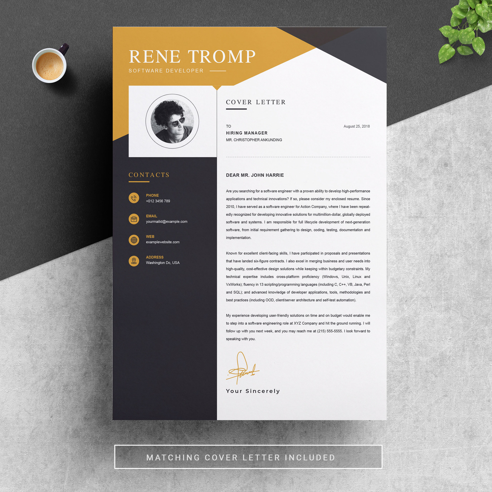 Rene Tromp Resume Template #84378 - TemplateMonster