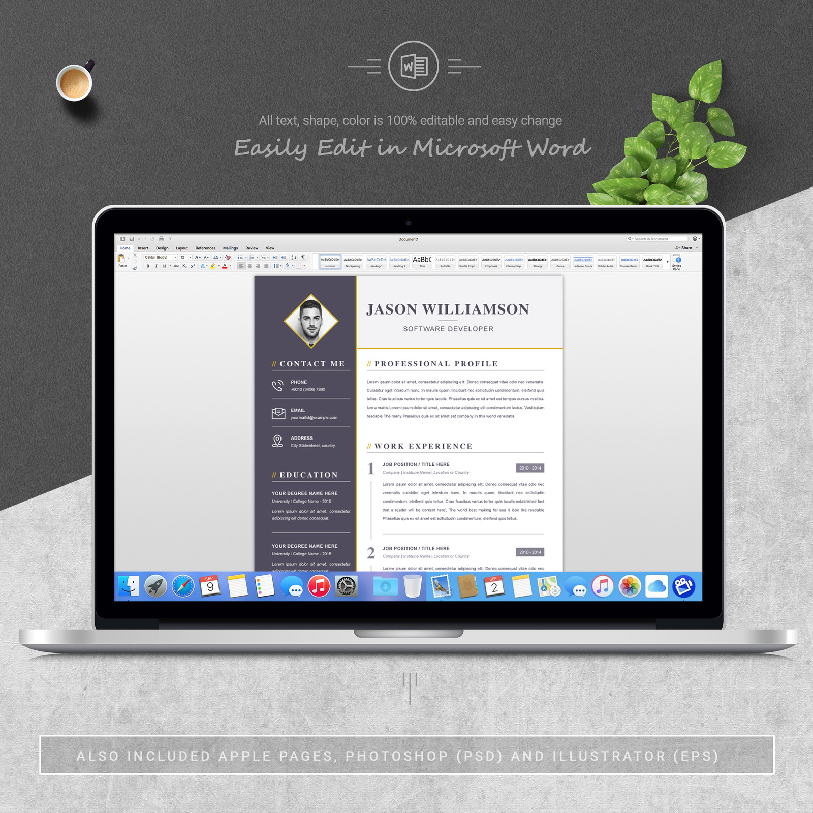 Jason Resume Template #90398 - TemplateMonster