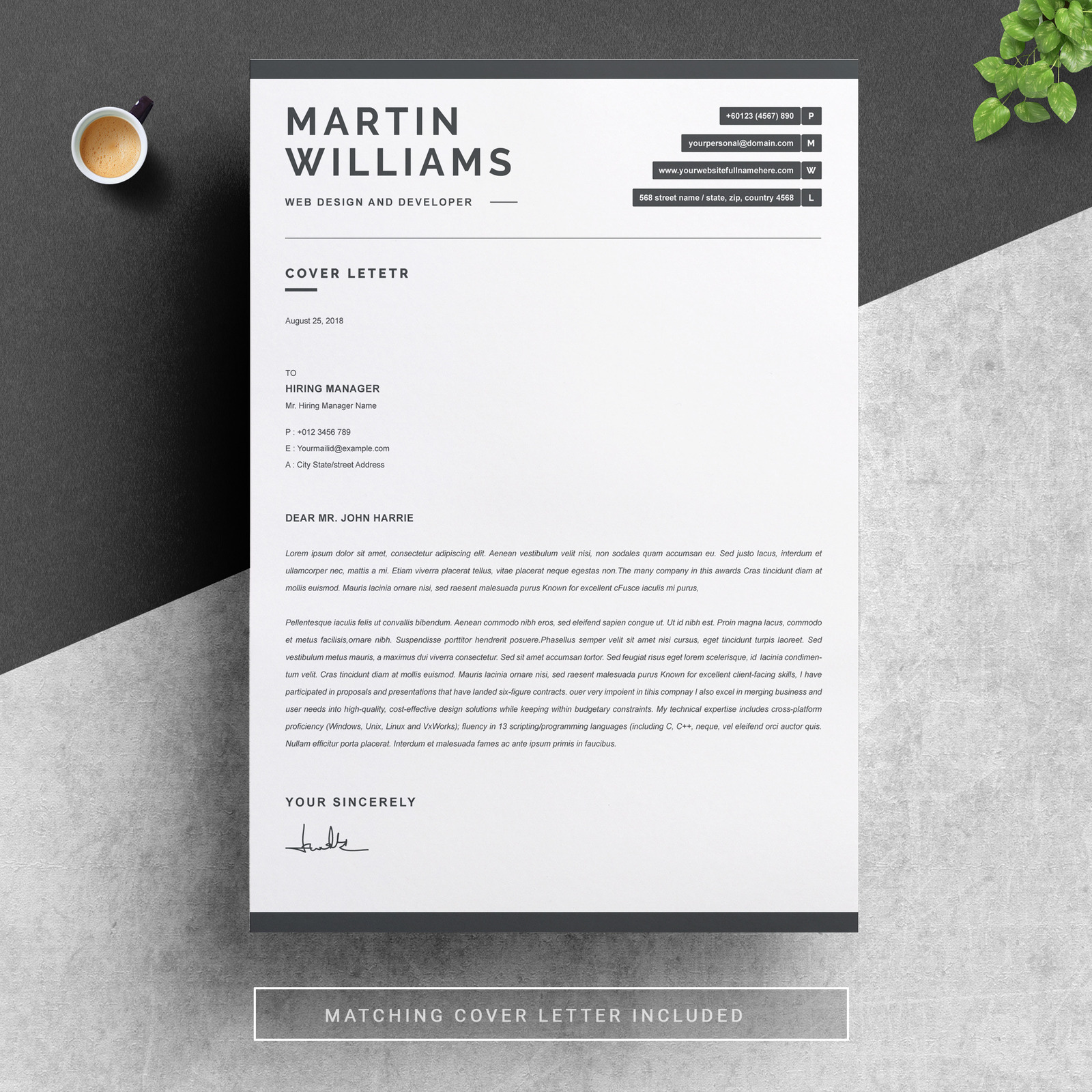 Martin Resume Template #90613 - TemplateMonster