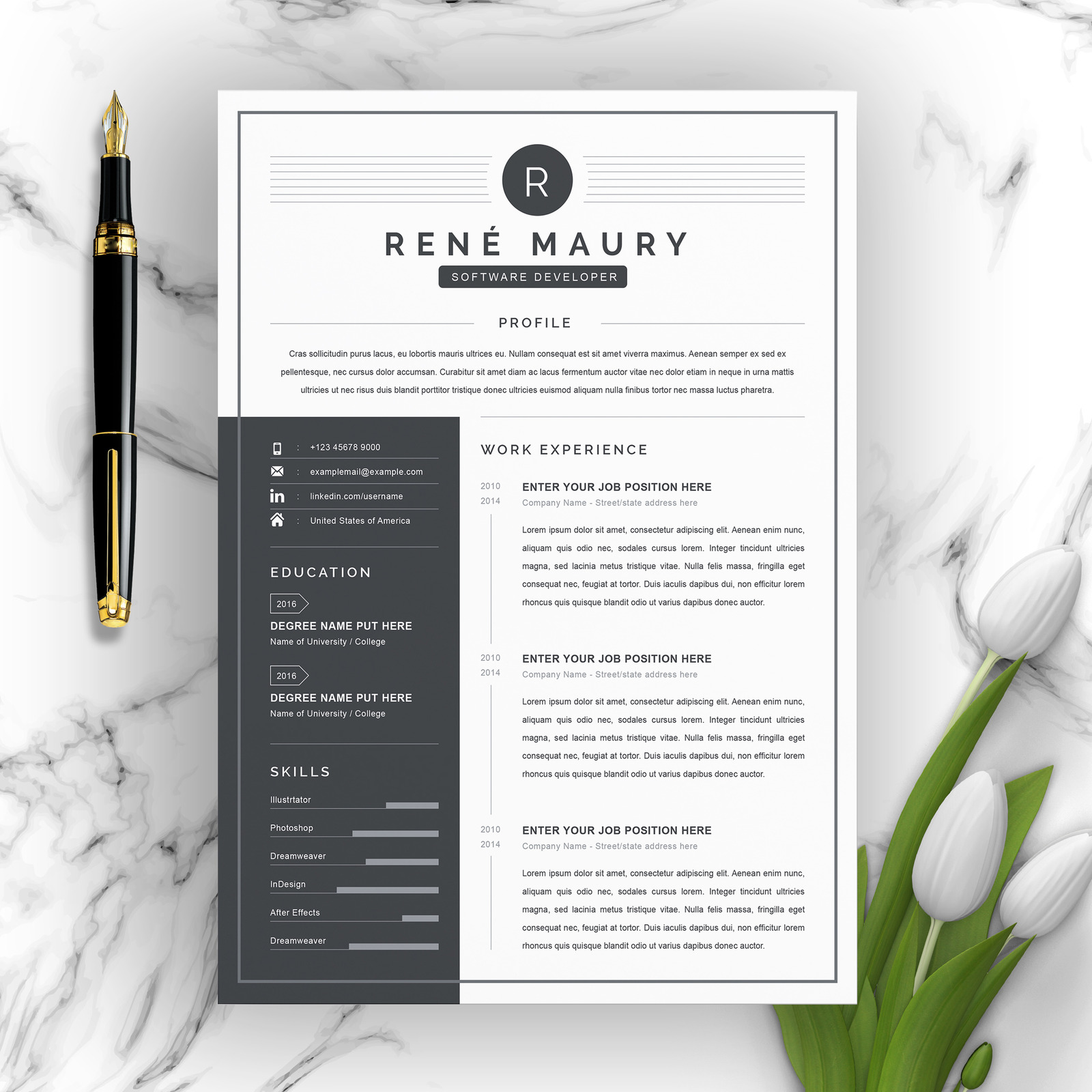 Rene Maury Resume Template #97989 - TemplateMonster