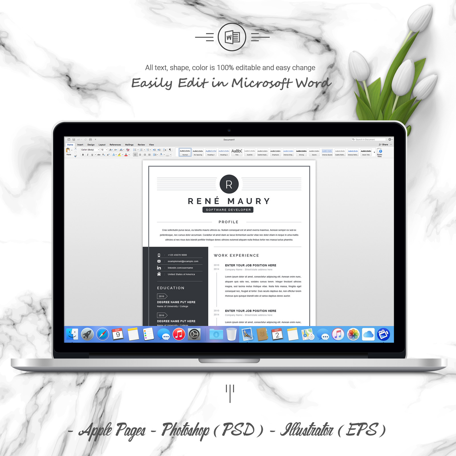 Rene Maury Resume Template #97989 - TemplateMonster
