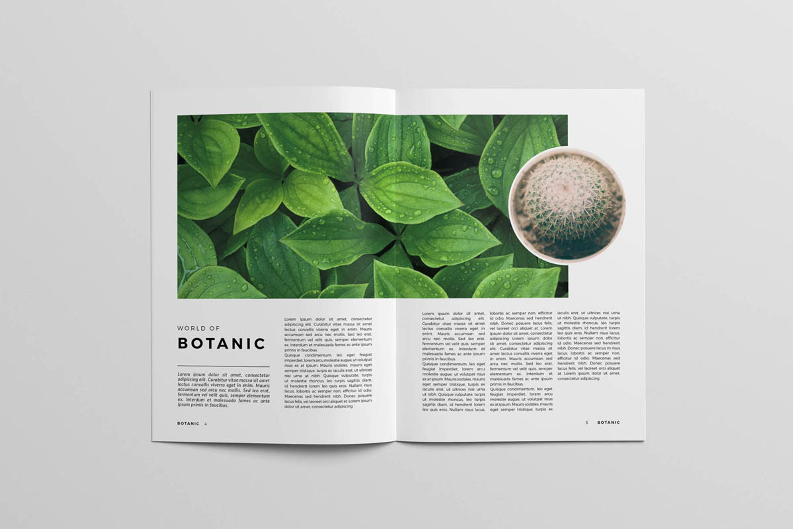 Botanic Magazine Template #109766 - TemplateMonster
