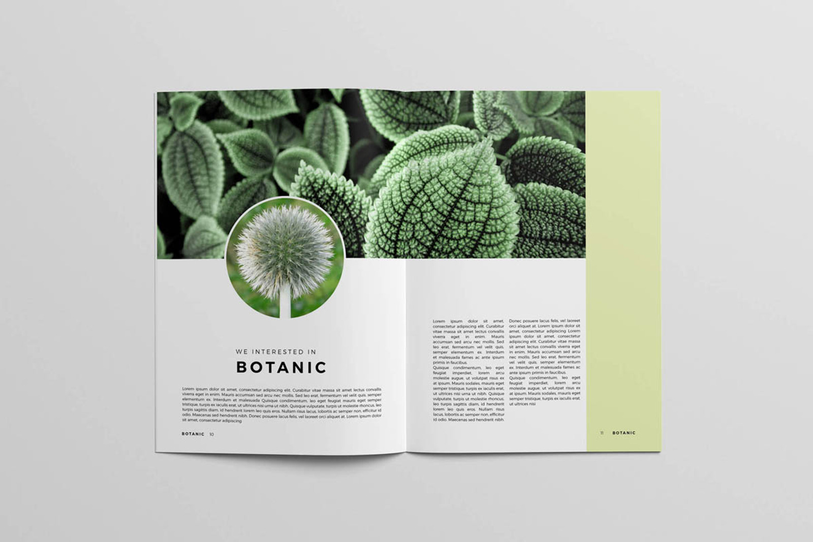 Botanic Magazine Template #109766 - TemplateMonster