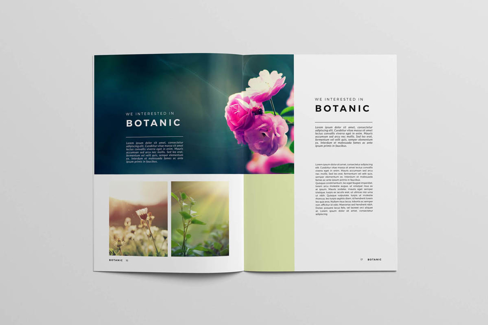Botanic Magazine Template #109766 - TemplateMonster