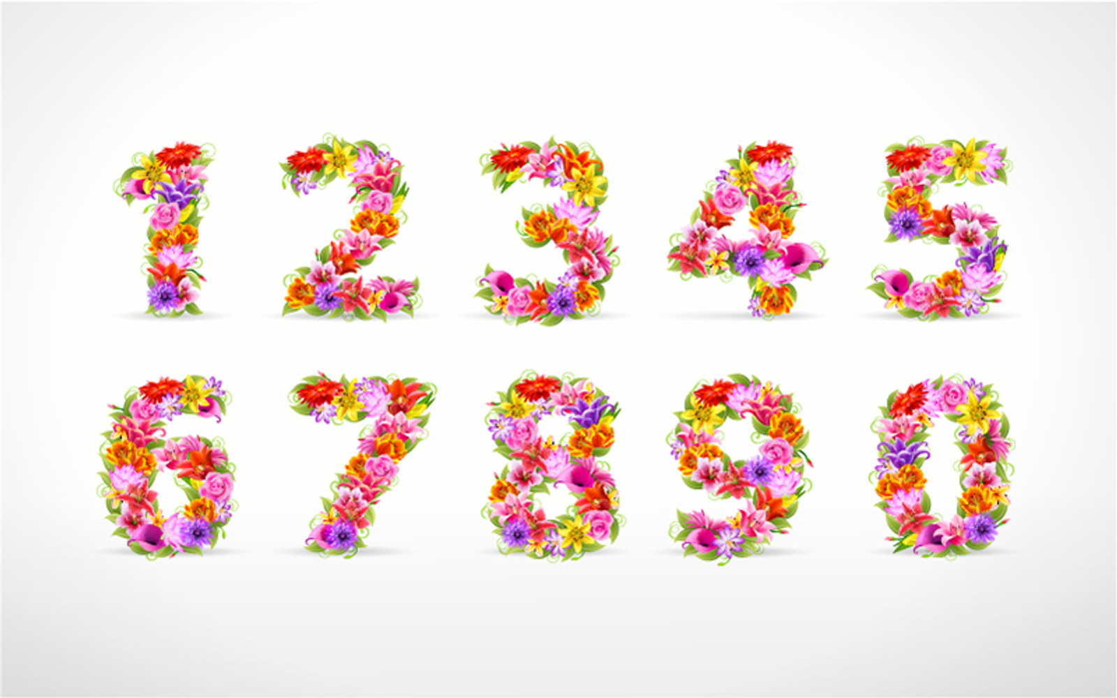 Floral Alphabet and Numbers Elements - Illustration - EPS Vector