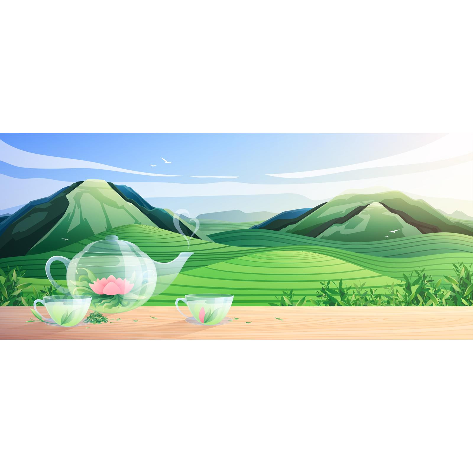 Natural Tea Production Flat Composition 1 201030931 Vector Illustration ...