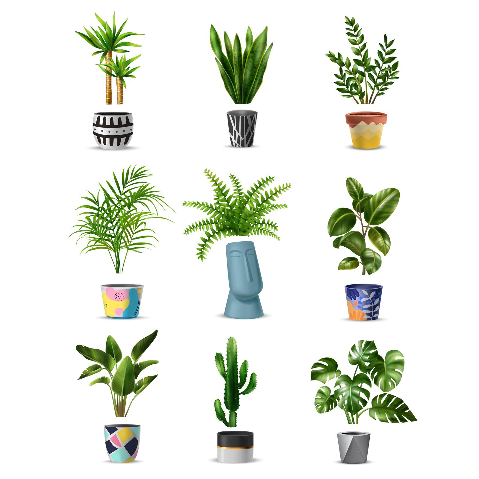 Realistic Green Home Plant Big Set Vector Illustration Concept