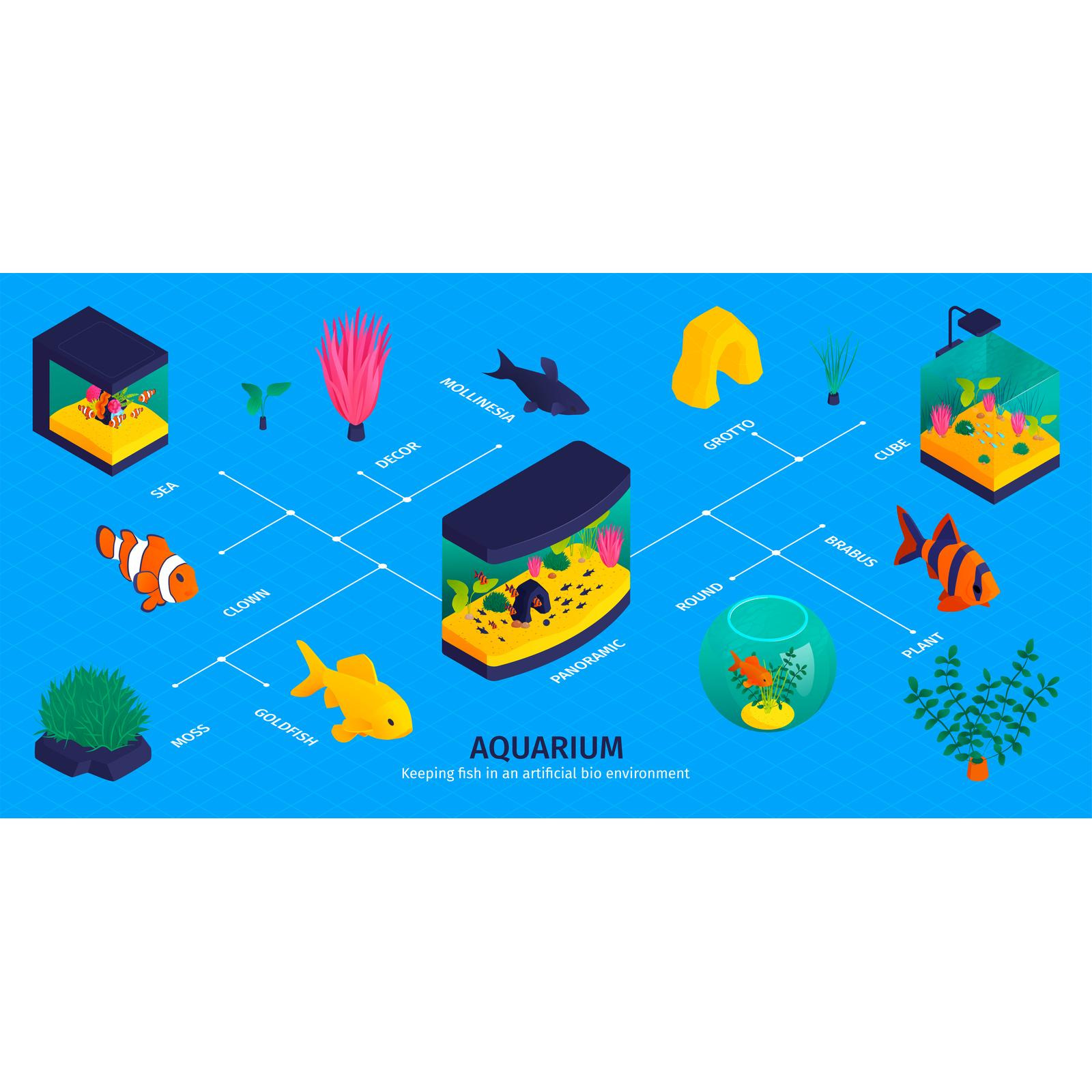 Isometric Aquarium Infographics 201150431 Vector Illustration Concept