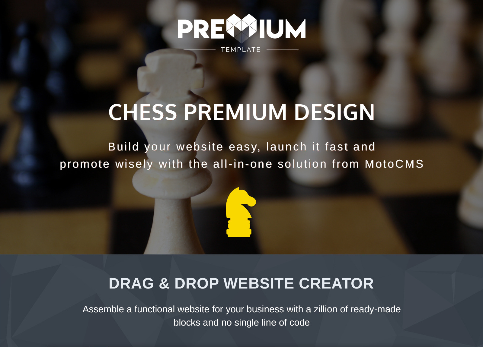Chess MotoCMS Website Template #186841 - TemplateMonster