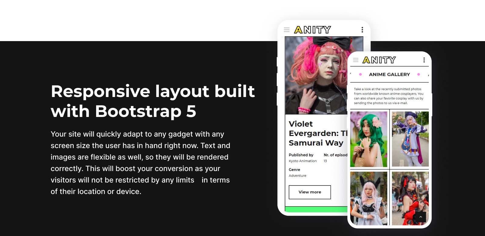 Anity - Anime HTML5 Website Template - TemplateMonster