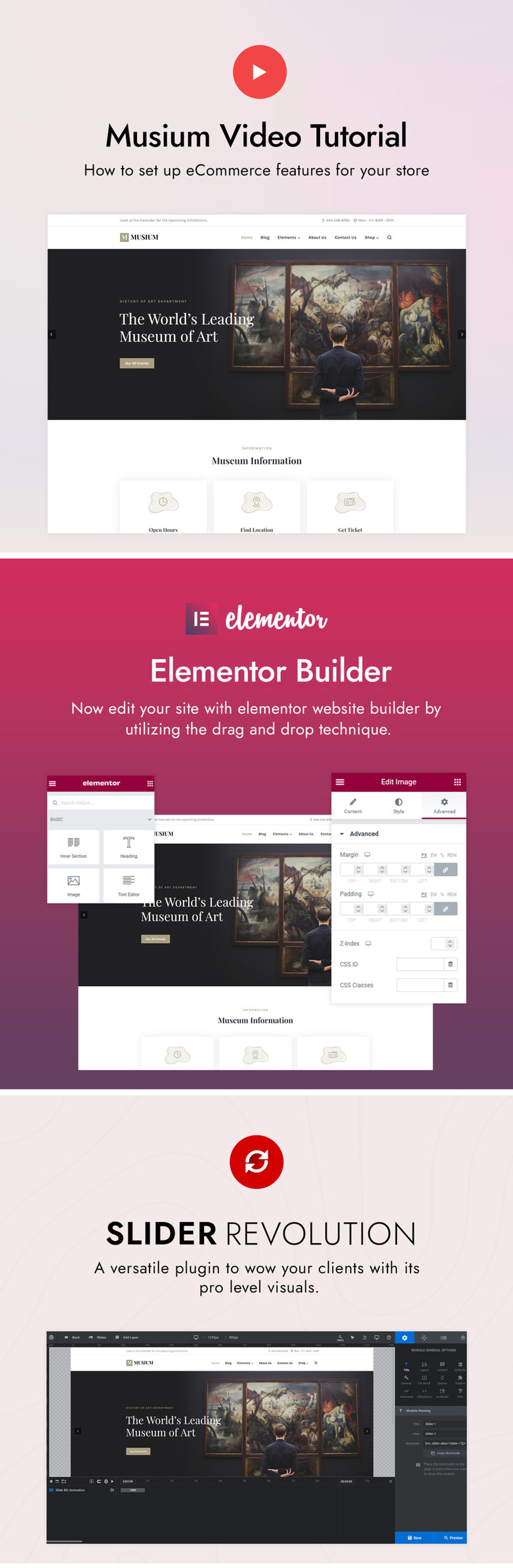 Musium - Art Gallery and Museum WordPress Theme