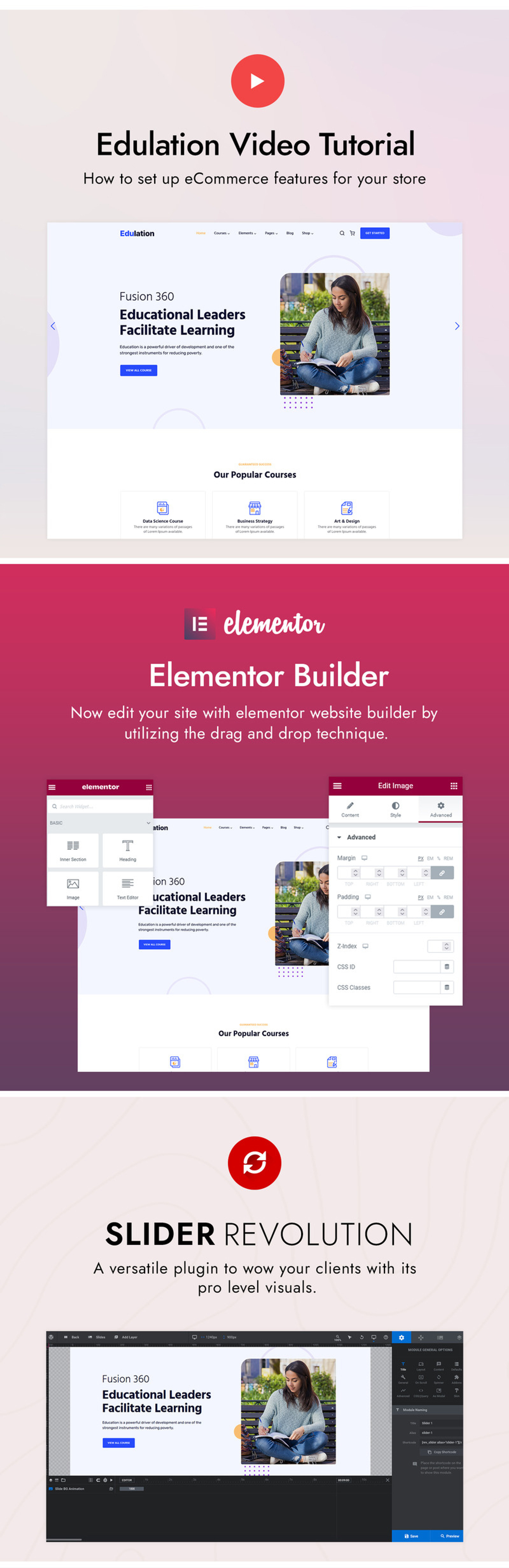 Edulation - Education WordPress Theme - TemplateMonster