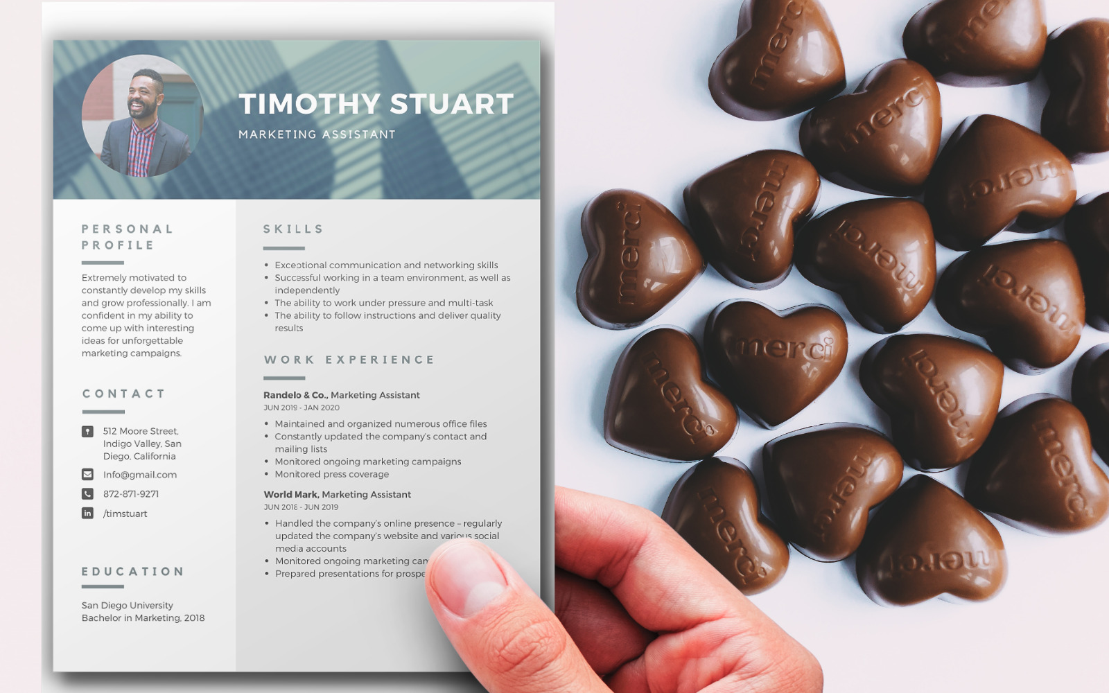 Timothy Stuart - Clean And Modern Resume Template