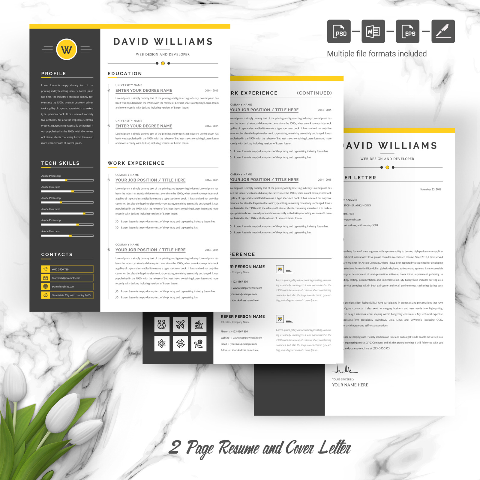 David Williams / CV Template #218143 - TemplateMonster