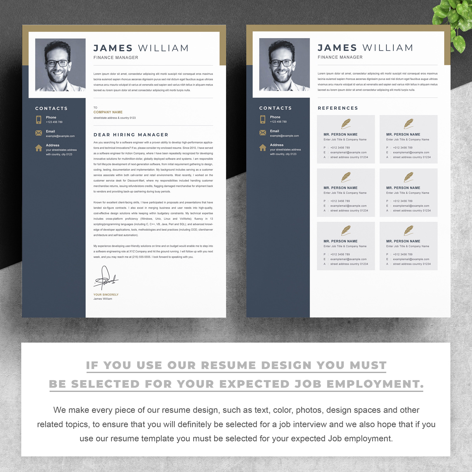 James William Printable Resume Templates - TemplateMonster