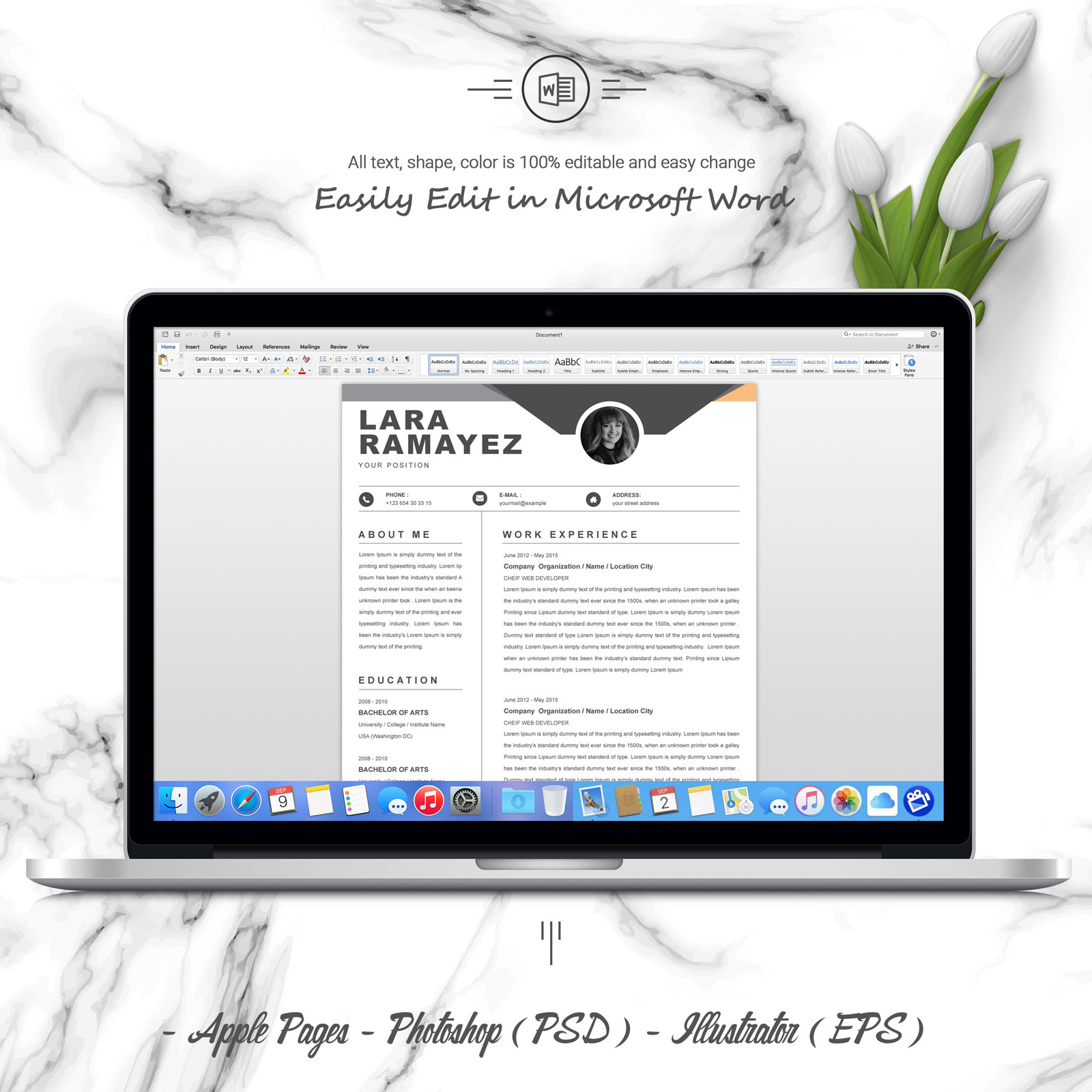 Lara Ramayez / CV Template #195820 - TemplateMonster